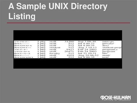 File System Interface Csse 332 Operating Systems Ppt Download