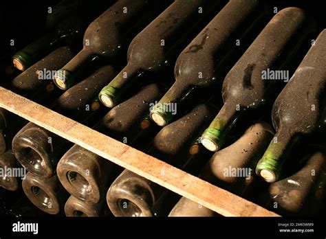 Vintage Wine Cellar Makiki At John Pullen Blog