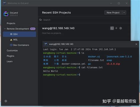 Goland远程开发ide：使用ssh远程连接服务器进行云端编程 知乎