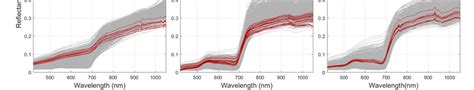 Simulated Spectra Using Prosail Flight Gray Lines And Spectra