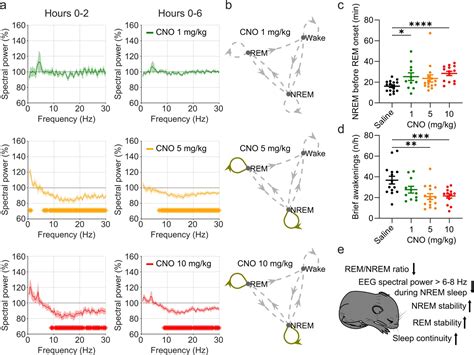 Figures And Data In Effects Of Clozapine N Oxide And Compound 21 On