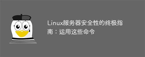 linux服务器安全性的终极指南：运用这些命令 美云