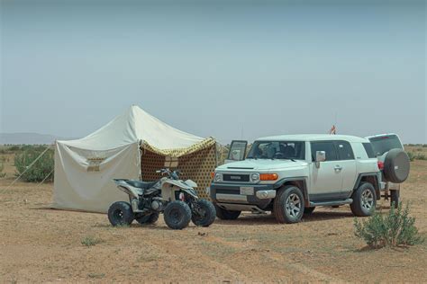 صوربزازطبيعيه Photos Download The Best Free صوربزازطبيعيه Stock