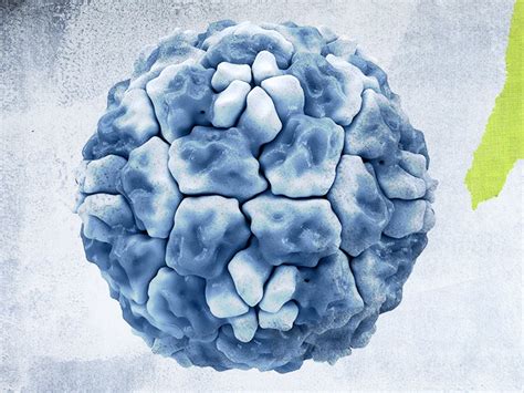 Cold Virus
