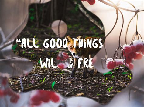 Transition Effect With Css Masks Codrops