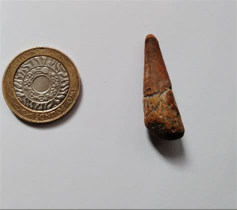 Could You Help Identify This Is This A Rock Or Fossil If So What Fossil R Fossilid