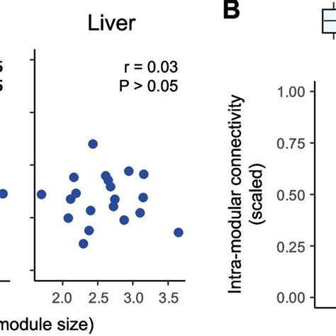 Examining On The Negative Relationship Between Plasticity Evolution And