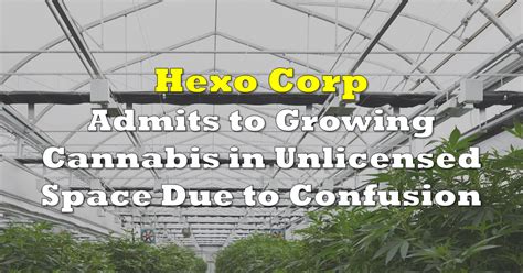 Hexo Corp Admits To Growing Cannabis In Unlicensed Space Due To