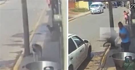 ¡indignación Identifican A Hombre Que Lanzó Un Perro A Una Olla De