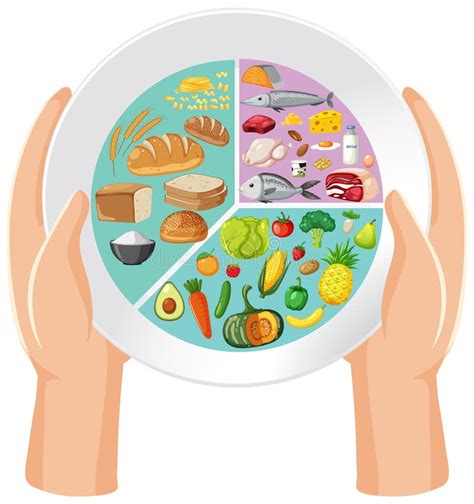 A Plate With Assorted Healthy Foods Stock Vector Illustration Of