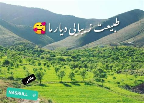 نمایی اززیبایی هایی کل برگر