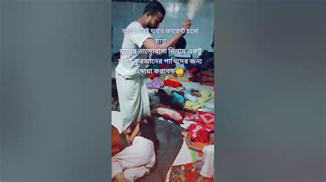 সবাই কুরআনের পাখিদের জন্য দোয়া করবেন 🤲🤲 লাইক কমেন্ট শেয়ার করবেন