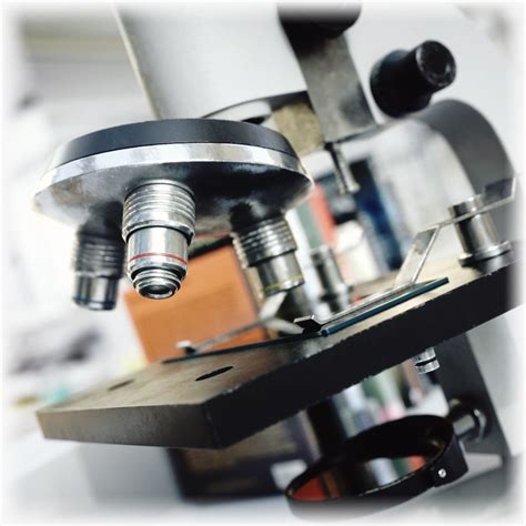 Lab Door 3d Model 5 Max Free3d