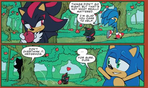 Strange Isnt It Shadow The Hedgehog Is Raising A Dark Chao Of His