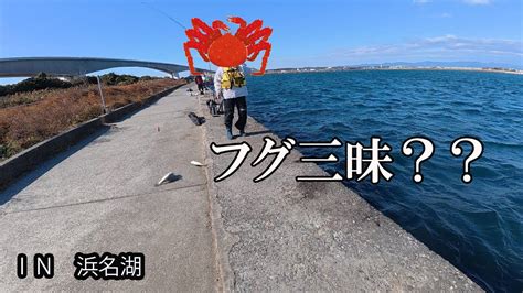 2024年 極寒 爆風の浜名湖海釣り公園にて竿がぶち曲がる 事を夢見て釣りにチャレンジと思ったら 浜名湖 青物釣り フグ カサゴ は