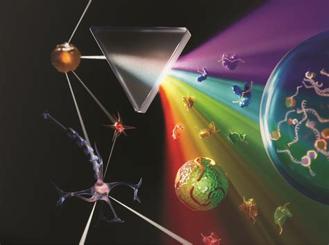 Researchers Reveal A Map To Study Novel Form Of Cell To Cell