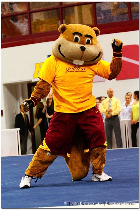 2014 Golden Gopher Gymnastics Camp Great Northern Gymnastics