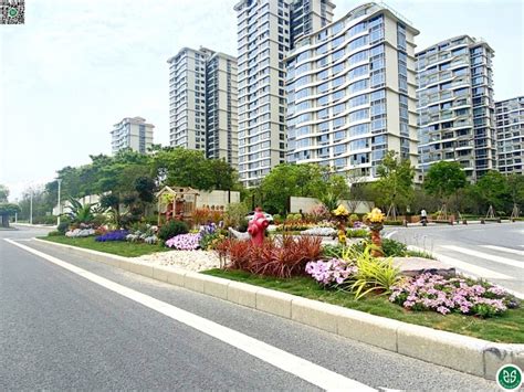 交通岛道路花境珠海市2022年4月