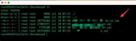 H Ng D N Dump Database T Container Tr N Docker