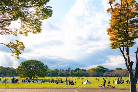 【東京都】行ってよかった「ピクニックスポット」4選＆便利アイテムを紹介 開放感あふれる都会のオアシス【2023年5月版】 Fav Log