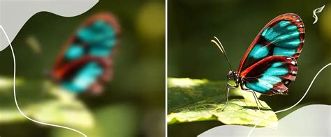 Compound Myopic Astigmatism Shinagawa Lasik Center