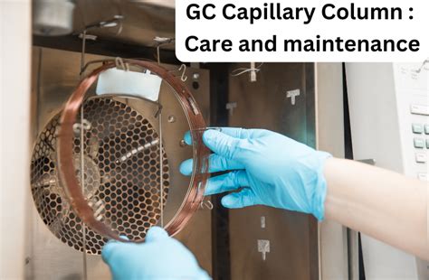Gas Chromatography Gc Capillary Columns Care And Maintenance Labveda Gas Chromatography Gc Capillary Columns Care And Maintenance Labveda