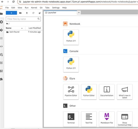 installing rhoai and jupyter notebook how to run and deploy llms