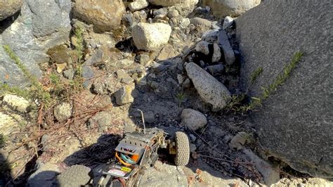 Comp Buggy In Action R Scx24