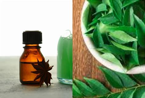 Hair Care Tips প্রাকৃতিকভাবে চুল কালো করার ঘরোয়া পদ্ধতি জেনে নিন