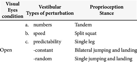 Combination Of Training Variations Download Scientific Diagram