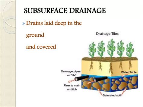 Design Of Subsurface Drainage System Pptx