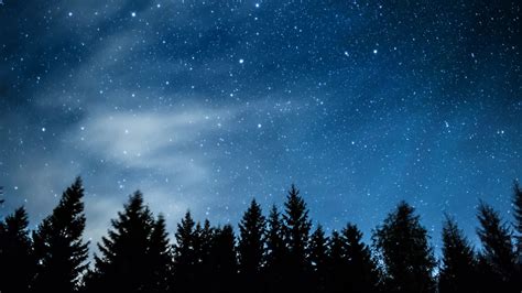 Night Sky Stars Timelapse Videos 11848973 HD Stock Footage Pine