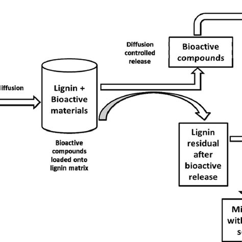 Schematic Illustration Of Diffusion Controlled Controlled Release Download Scientific Diagram