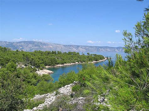 Maslinice öböl Venus Apartmans Hvar