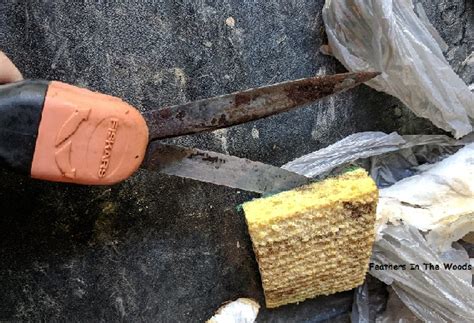 Remove Rust From Garden Tools Feathers In The Woods