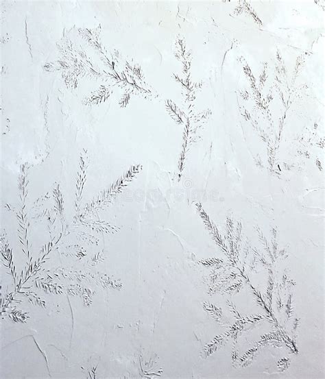 Pinetree Branch Imprint On Drywall Mud Texture Stock Image Image Of