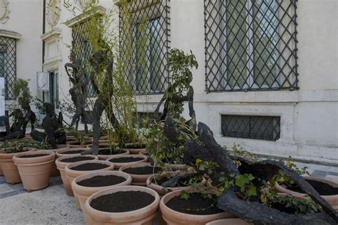 Come Preparare Il Giardino Per Linverno Senza Spendere Soldi Più 3