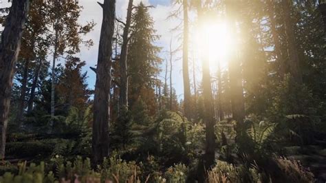 How To Allocate More RAM To Rust DiamondLobby How To Allocate More RAM To Rust DiamondLobby