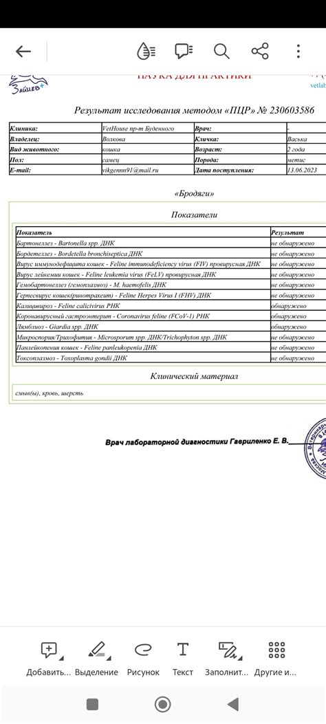 Вопрос к ветеринарам и кошатникам | Пикабу