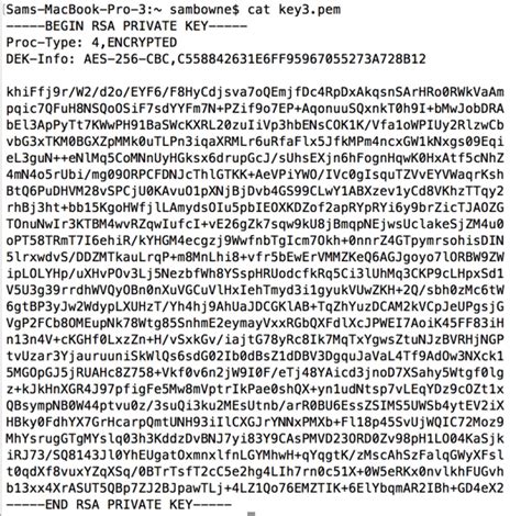 Generate Rsa Private Key In Pem Format Intelpotent