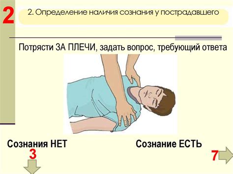 Универсальный алгоритм оказания первой помощи Сердечно легочная реанимация презентация онлайн