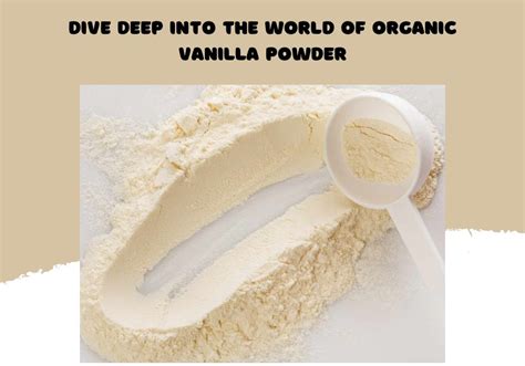 Dive Deep Into The World Of Organic Vanilla Powder Freeze Dryer