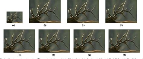 Figure 3 From Single Image Interpolation Via Adaptive Nonlocal Sparsity