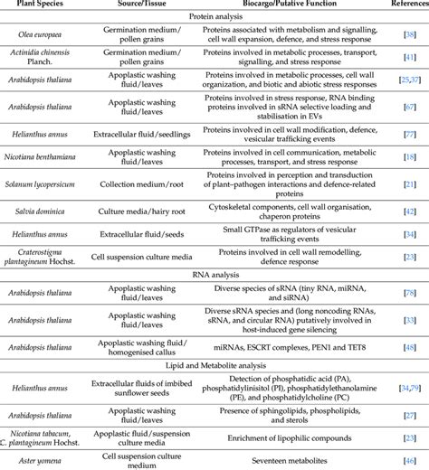 Protein Small Rna Srna Lipid And Metabolite Cargo Characterisation Download Scientific