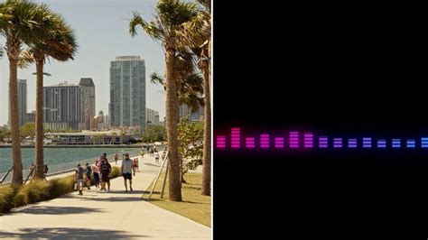 Fisch Sex Treibt Bewohner In Florida In Den Wahnsinn