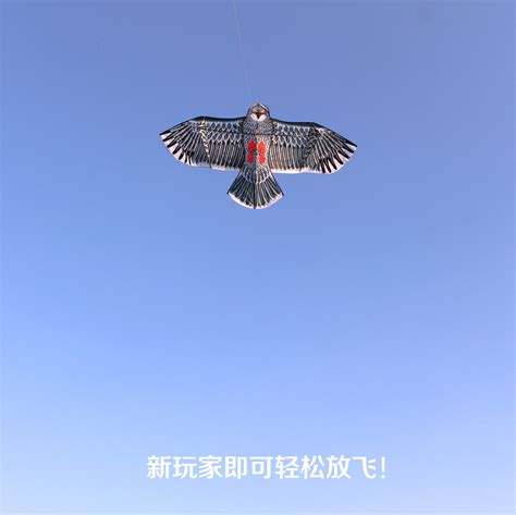 老鹰风筝图片大全 卡通 简笔画 大山谷图库