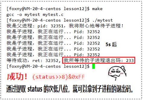 看表情包学Linux进程等待 wait waitpid 的 status 参数 获取退出码与退出信号 初识核心转储