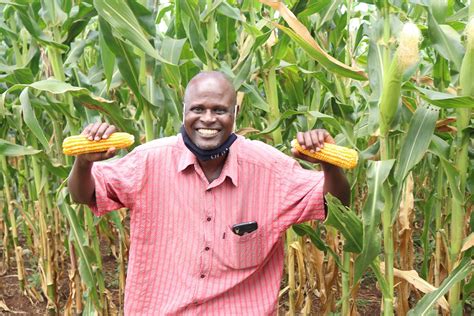 United Nation Development Programme Undp The Kampala Agribusiness