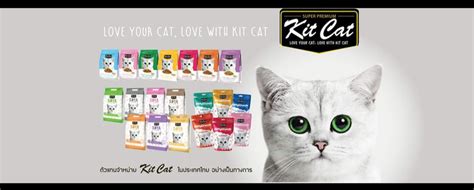 Angora Valley အရေပြား အရမ်းဂရုစိုက်နေရချိန် အခု ၂ လ တပတ်သားလေးတွေပါ။ သန် ၃ ခါချပြီးပြီ။ ရေခ