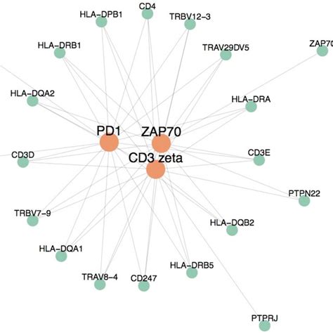 T Cell Receptor Signaling This Network Diagram Outlines The Overlap Of
